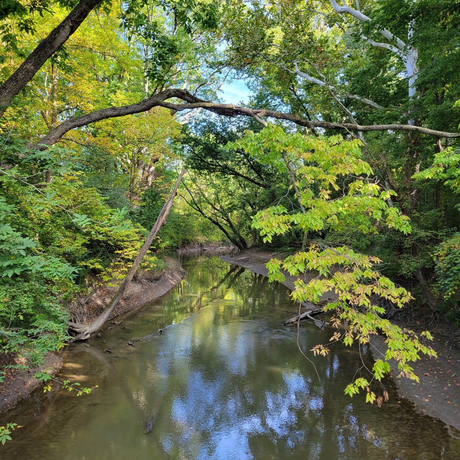 Seasonal Change: October – Eliza Howell Nature Walk